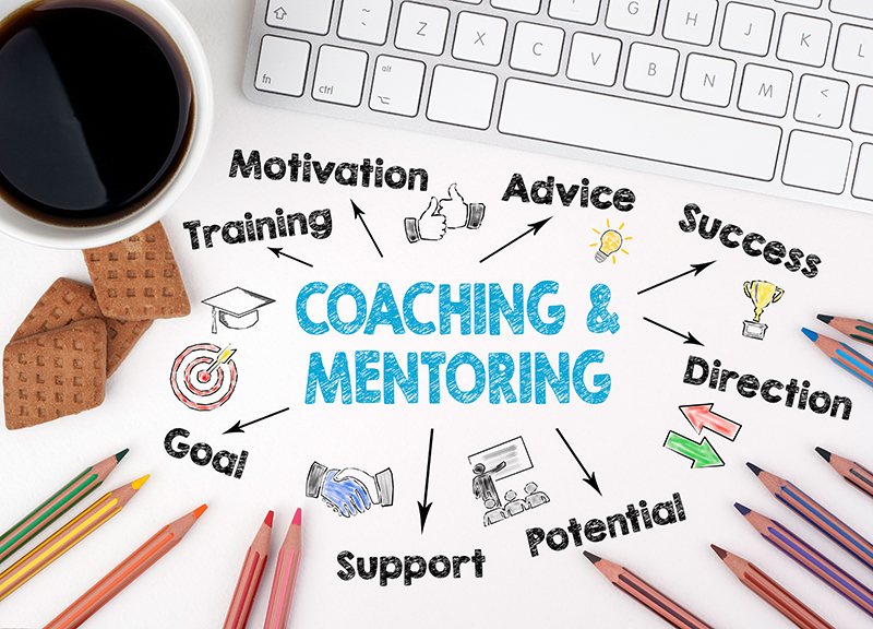 Consultancy Approach - Insights